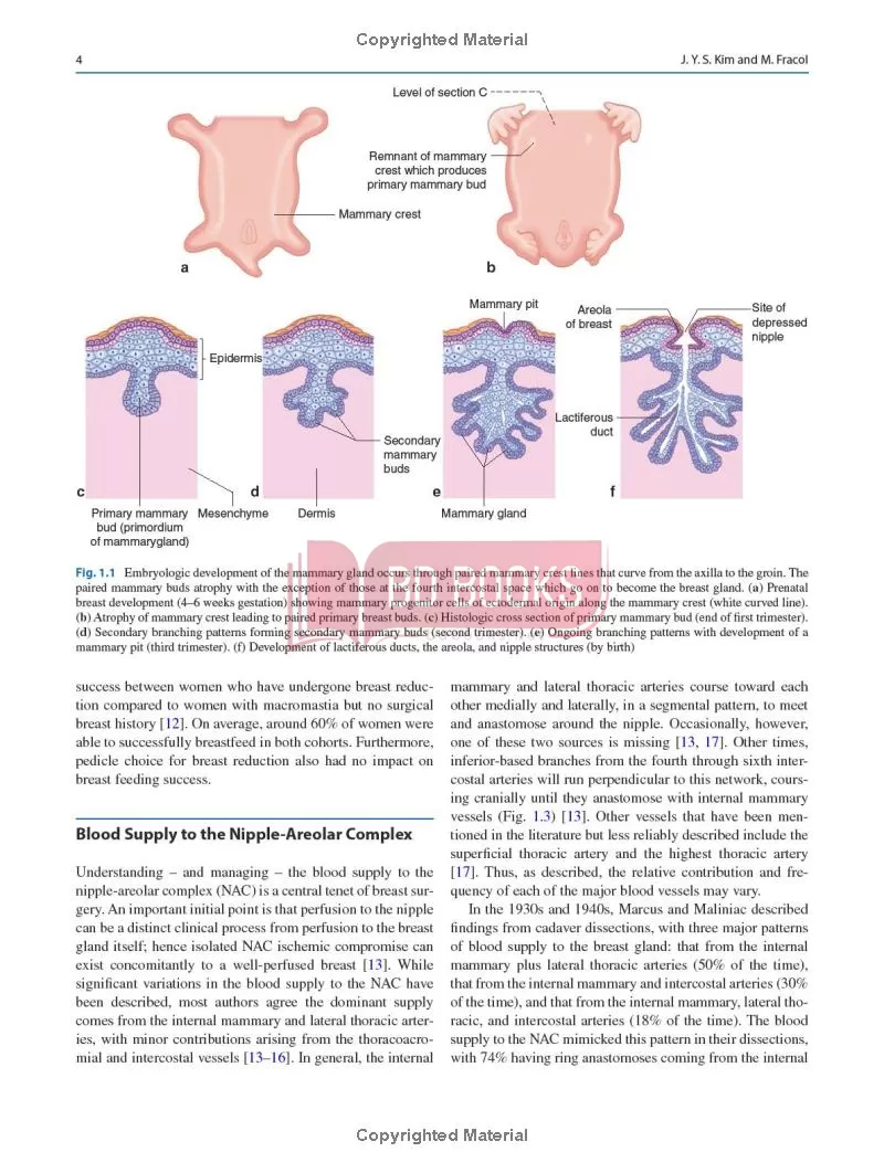 Managing Common And Uncommon Complications Of Aesthetic Breast Surgery